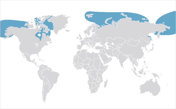 돌고래이야기 – 거제씨월드